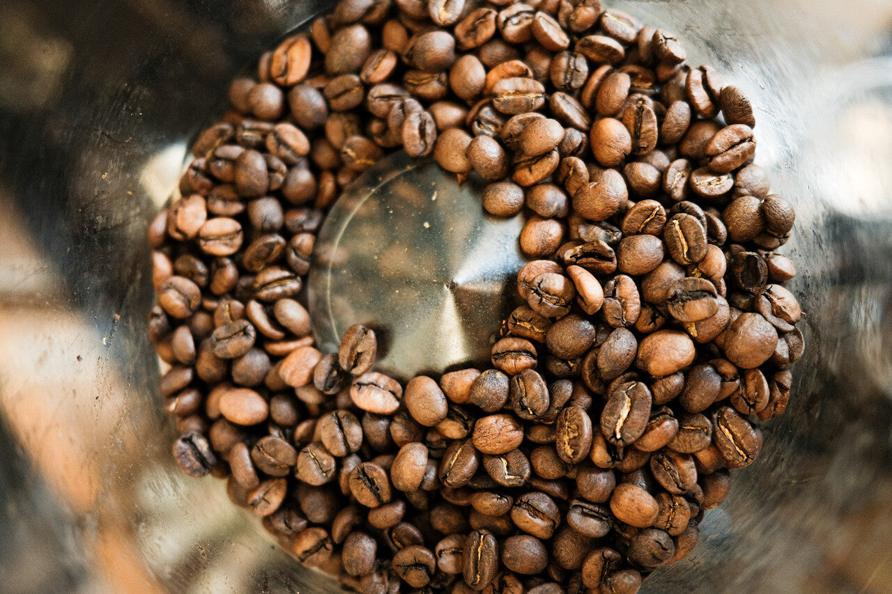 Duurzaamheid, Passie en Kwaliteit: Ontdek Fancy Beans